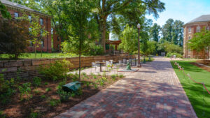 Landscape Architecture and Environmental Planning | College of Design